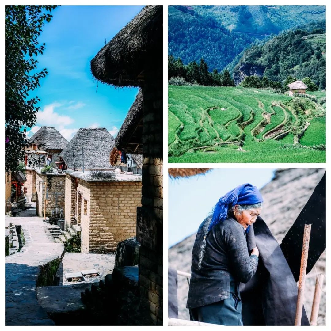 中山大学2025年“从阿者科开始”中英双语研学夏令营 2025 SYSU Research Summer Camp: “Let’s go ...